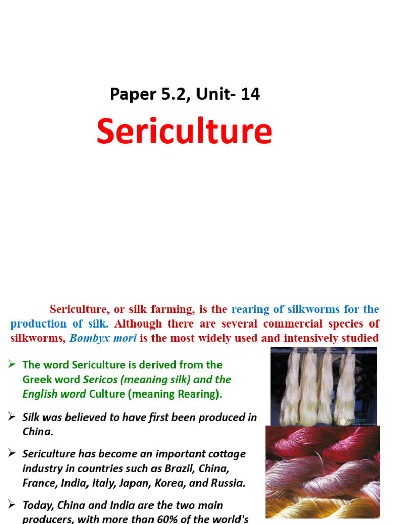 Seri Culture | PDF