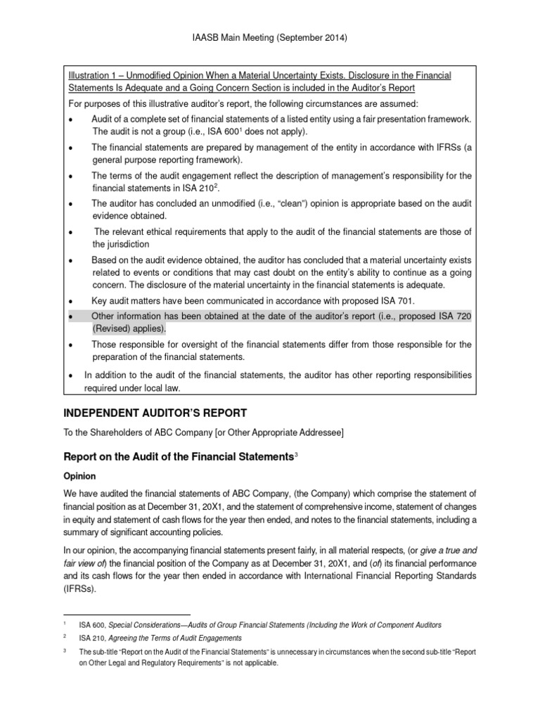 Discussed September 17 - Extract of ISA 570 - Wording Responsibilities ...