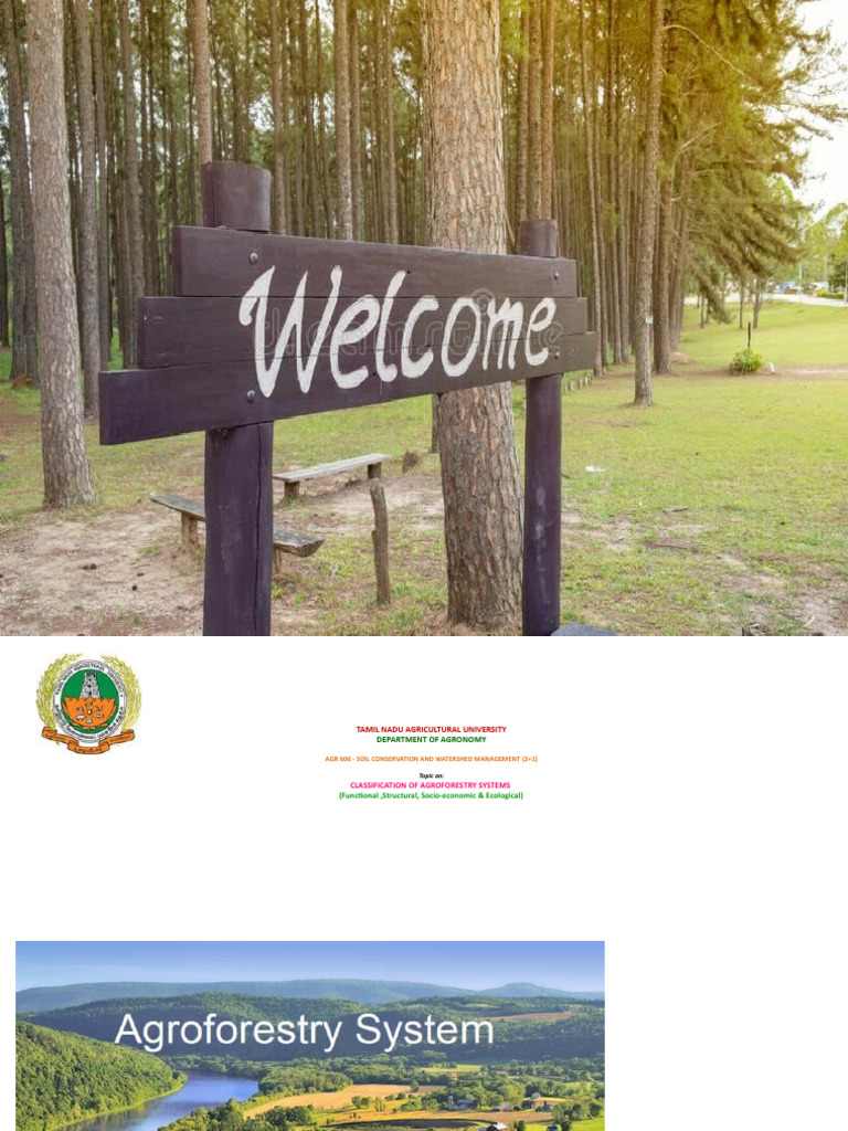 Classification of Agroforestry Systems | PDF | Earth Sciences | Agriculture