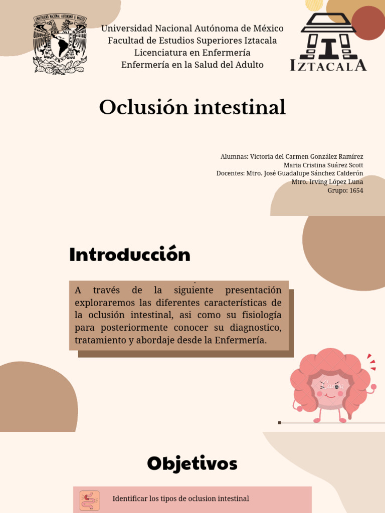 Obstrucción Intestinal Pdf Tracto Gastrointestinal Intestino Grueso
