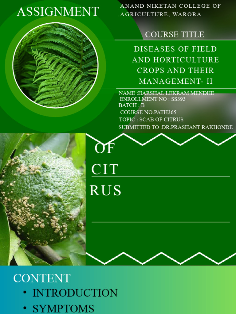 Citrus Scab Management Guide | PDF | Branches Of Botany | Organisms