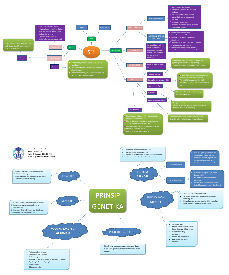 Mind Map - IBD Biologi Sel Dan Genetika | PDF