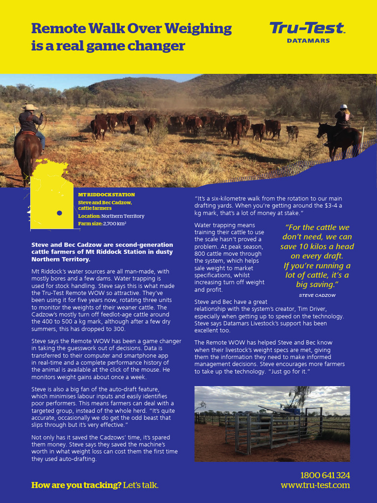 WOW Case Study-Mt-Riddock JUN 20 | PDF