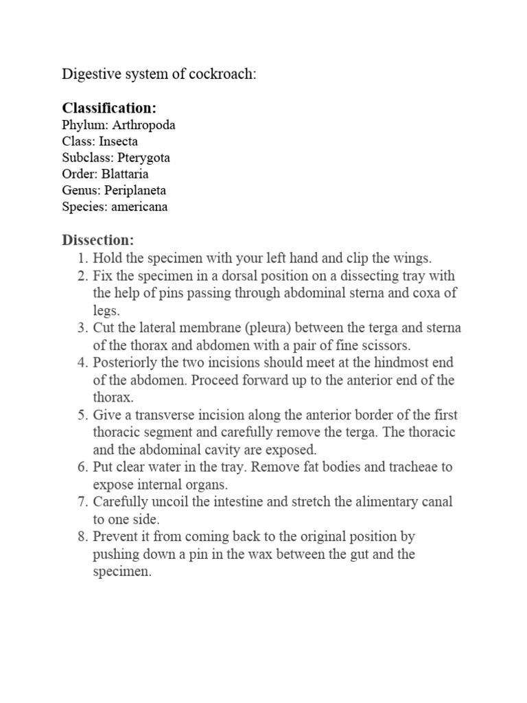 Digestive System Of Cockroach Pdf