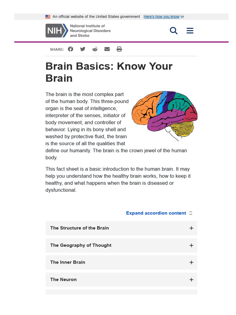 WWW Ninds Nih Gov Health Information Public Education Brain Basics ...