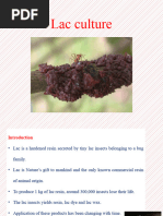 Lac Culture | PDF | Insects
