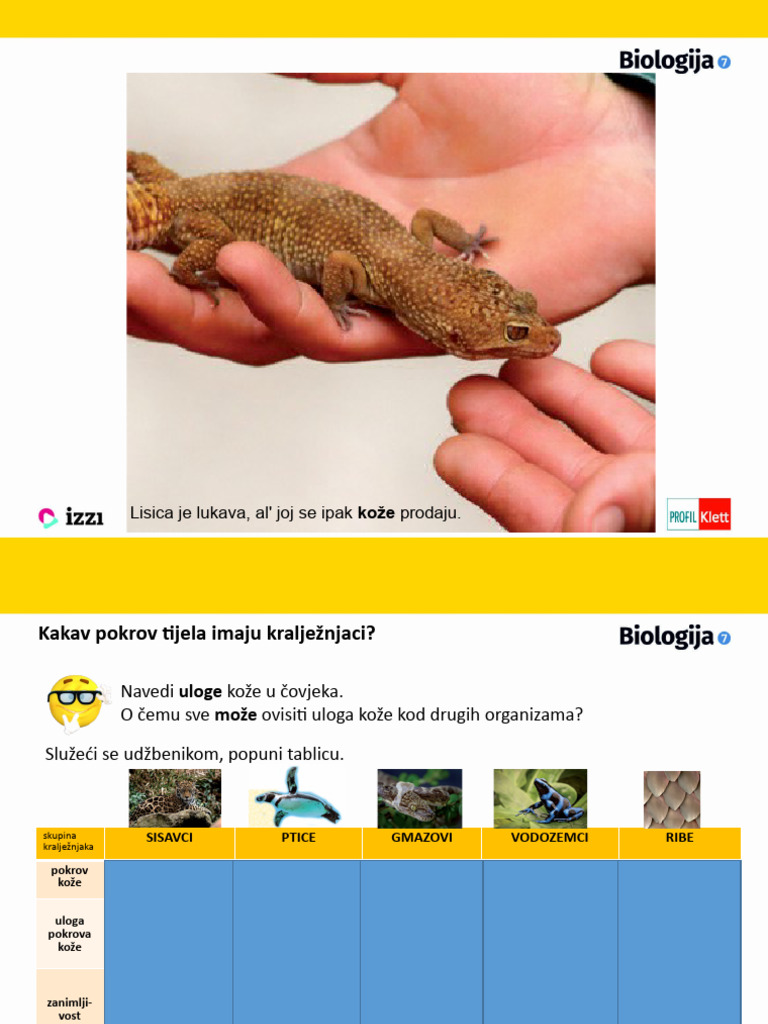 Zastita Zivotinja | PDF