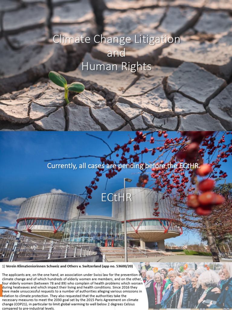 6 Climate Litigation and HR | PDF | Science & Mathematics