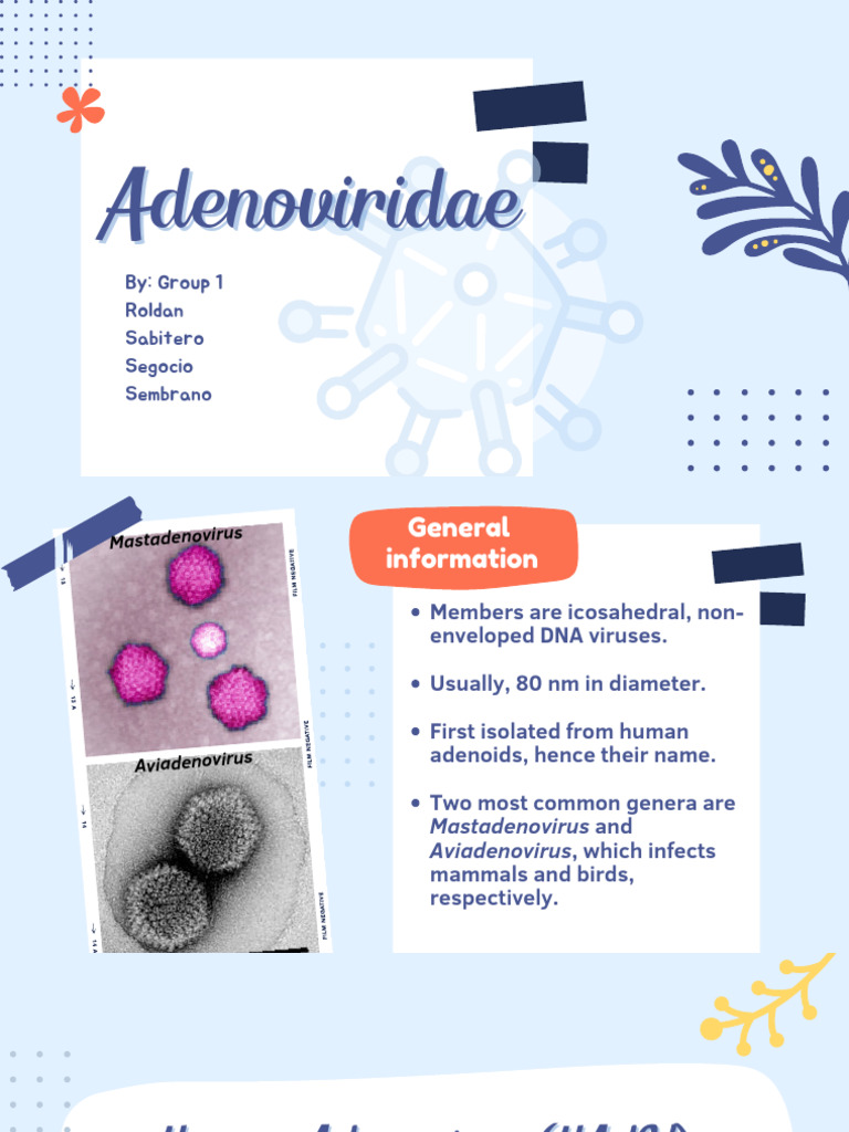 4A - Group 1 - Adenoviridae & Coronaviridae | Download Free PDF ...
