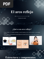 Esquema del Arco Reflejo | PDF
