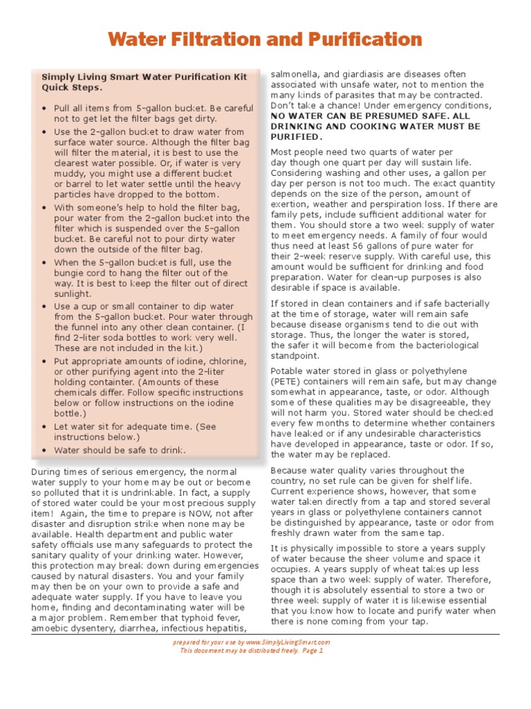 Water Filtration and Purification | PDF | Water Purification | Filtration