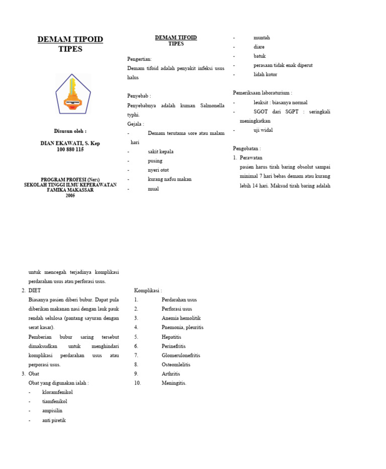 Leaflet Demam Tipoid | PDF