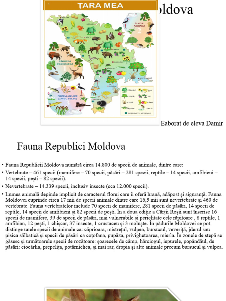Fauna Republici Moldova Damir Ana | PDF