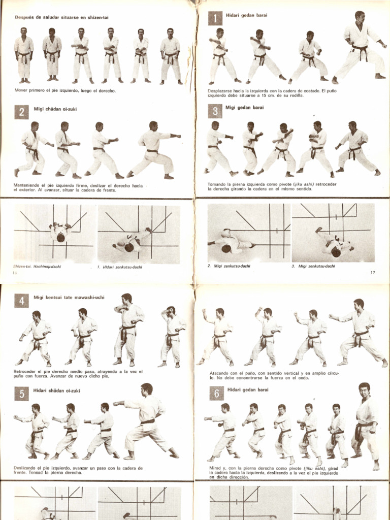 Heian Shodan | PDF