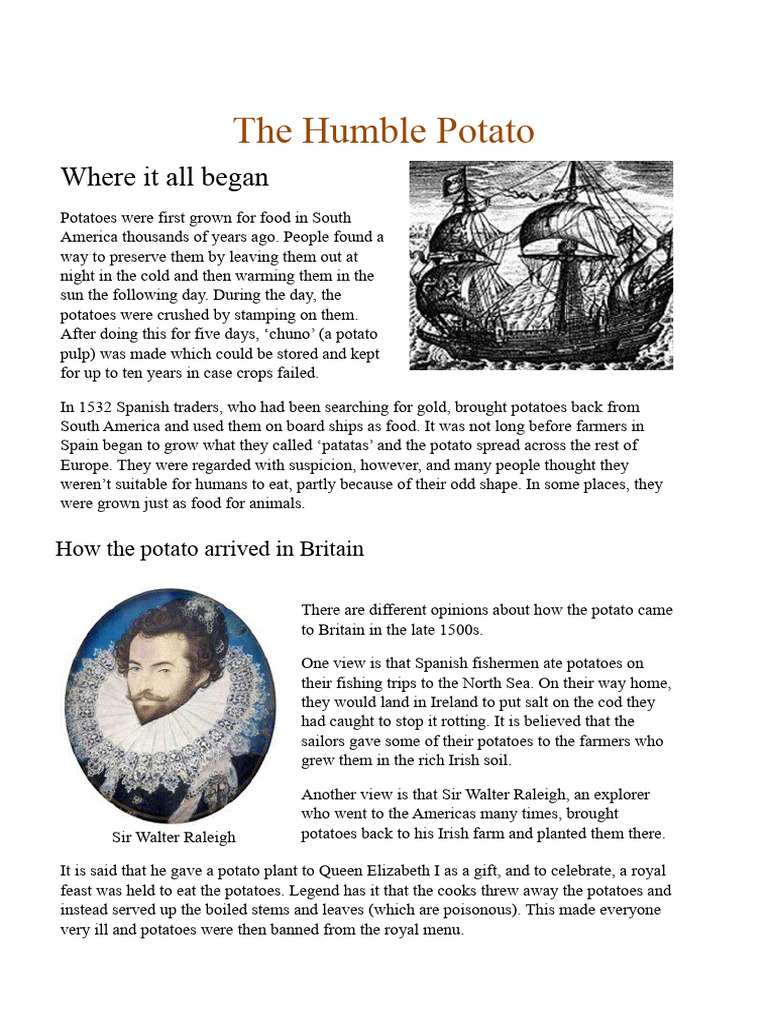 Humble Potato Wednesday Reading | PDF | Potato | Food Industry