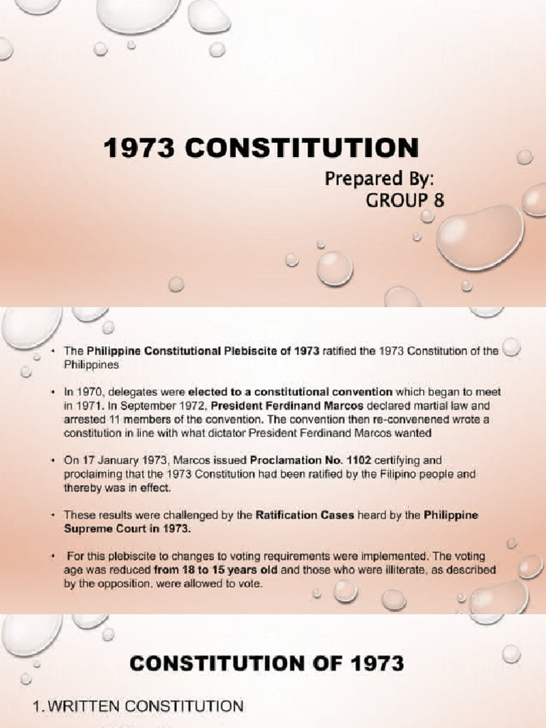 1973 Constitution | PDF