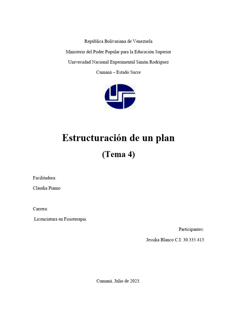 Estructuración de un plan | PDF | Presupuesto | Planificación