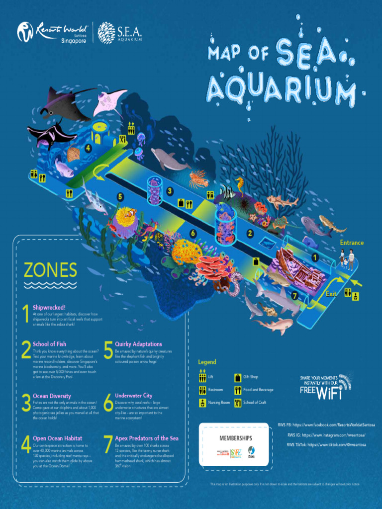 Park Map - SEAA | PDF | Fish | Sharks