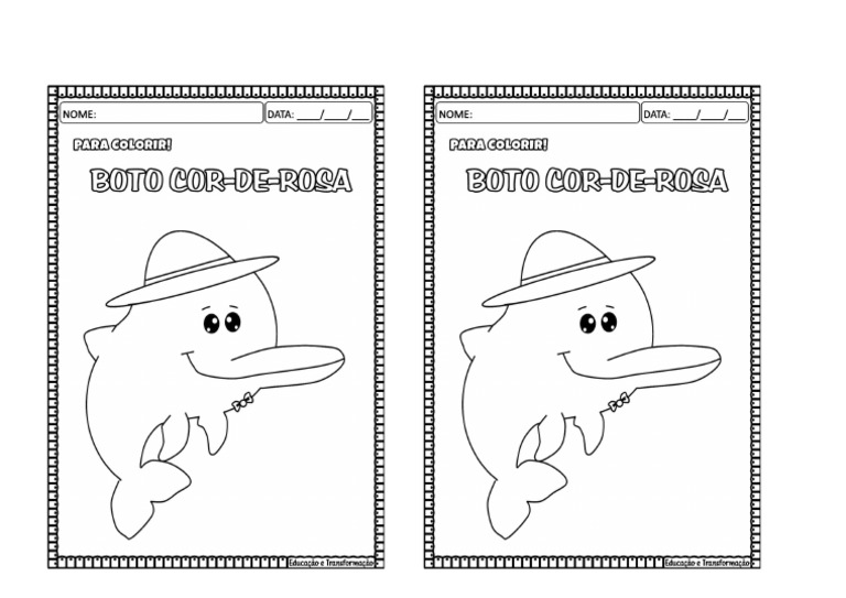 Boto Cor de Rosa | PDF