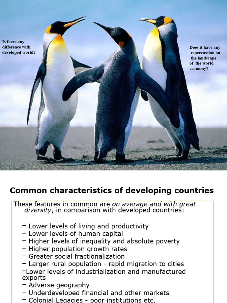 Characteristics of Developing Countries | PDF | Finance & Money ...