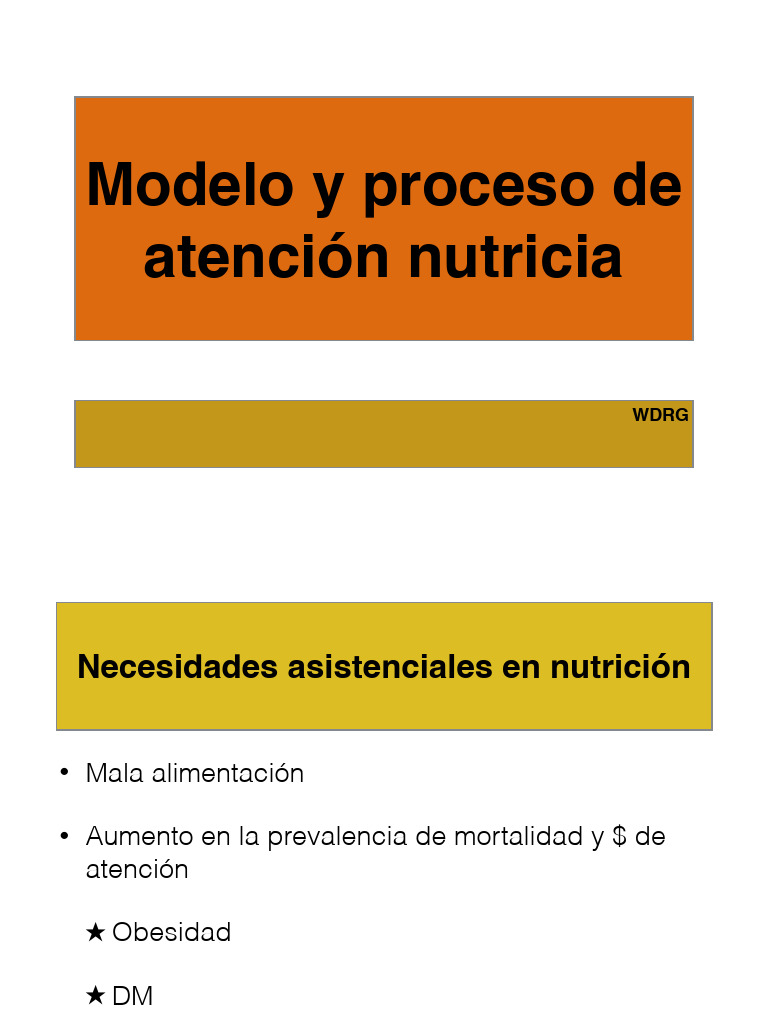 Modelo Ada 2023 | PDF | Dieta | Alimentos