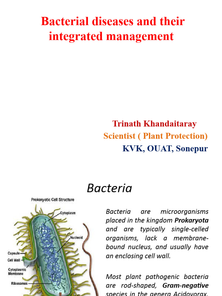 Bacterial Diseases and Their Integrated Management | PDF | Bacteria | Organisms
