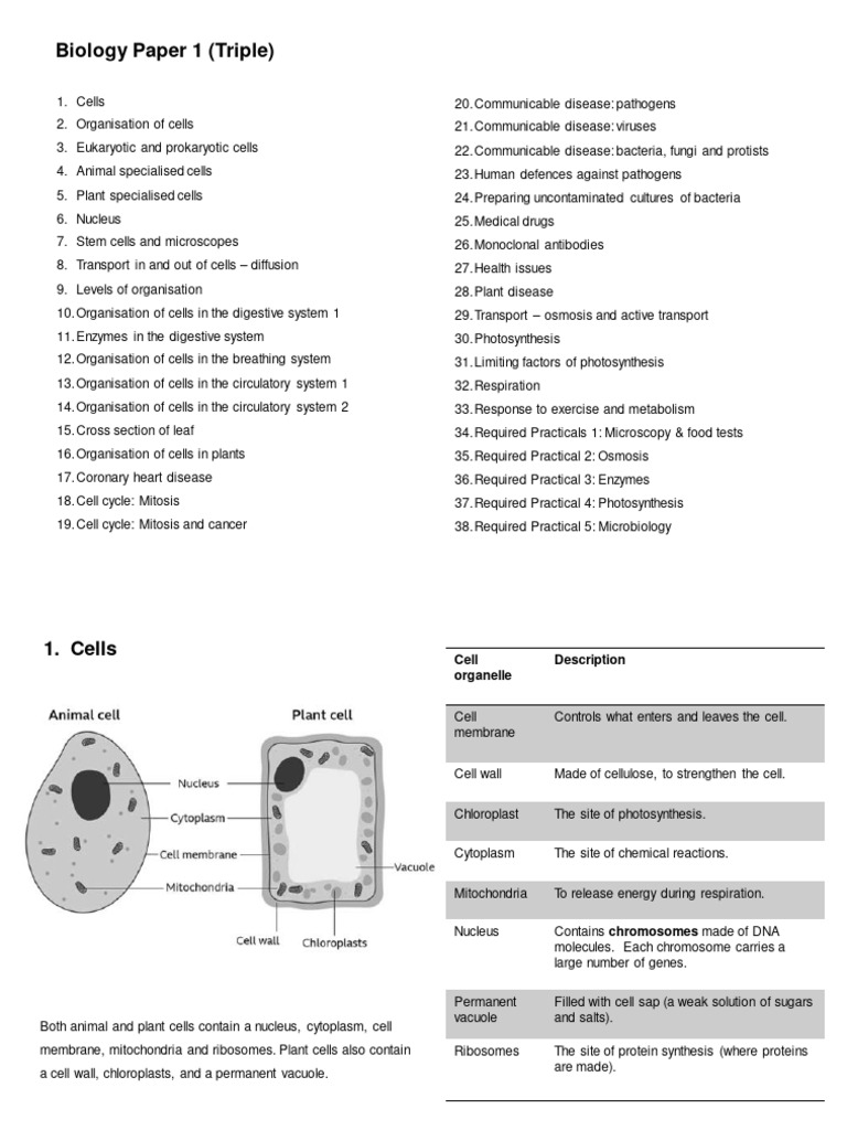 GCSE Triple Biology 2023 | PDF | Human Digestive System | Cell (Biology)