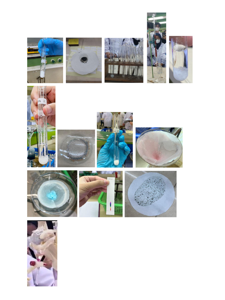 Dokum Laprak 3&4 | PDF