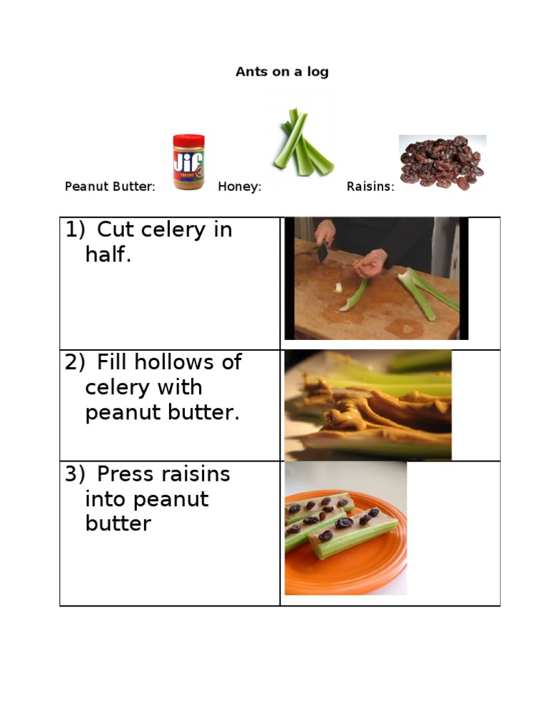 Ants On A Log | PDF | Home & Garden