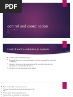 Class 10 - Bio - Control and Coordination - Notes | PDF | Neuron ...