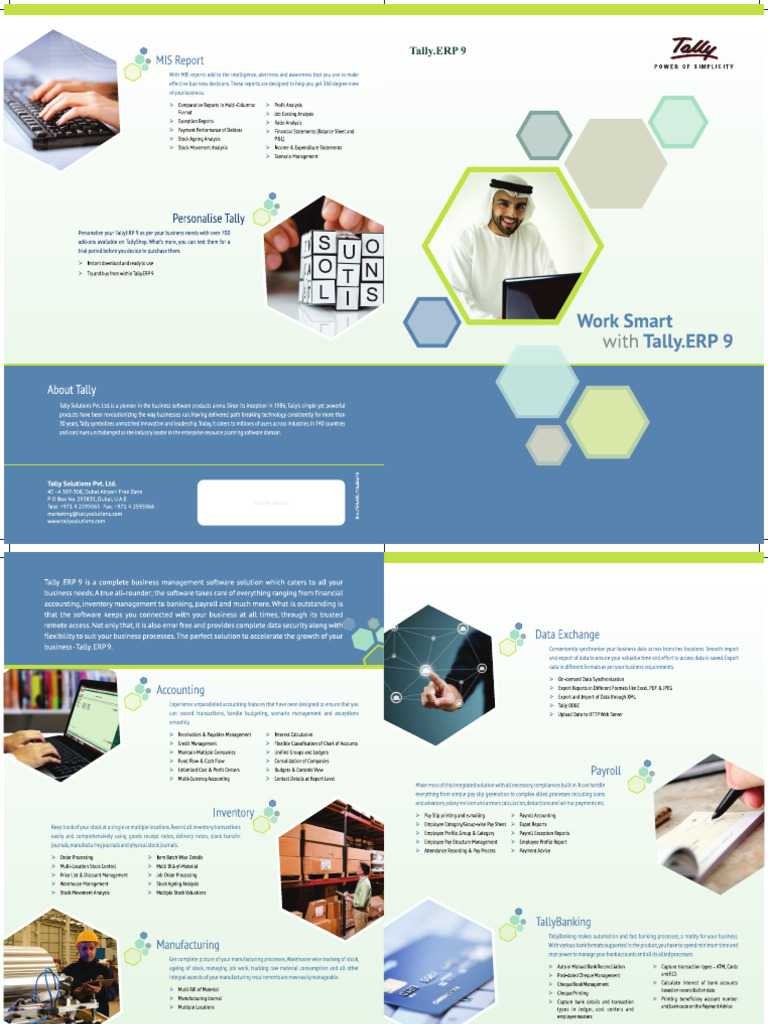 Tally Accounting Software | PDF