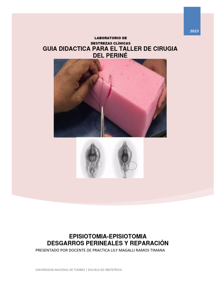 Guia de Aprendizaje Episiotomia Episiorrafia | PDF