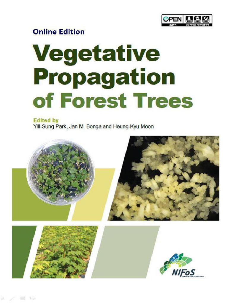 Teak Tree Vegetative Propagation Techniques | PDF