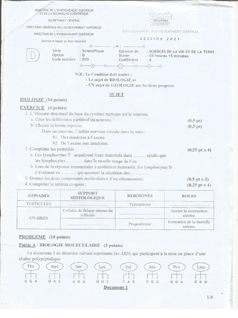 Sujet Bacc D 2021 | PDF