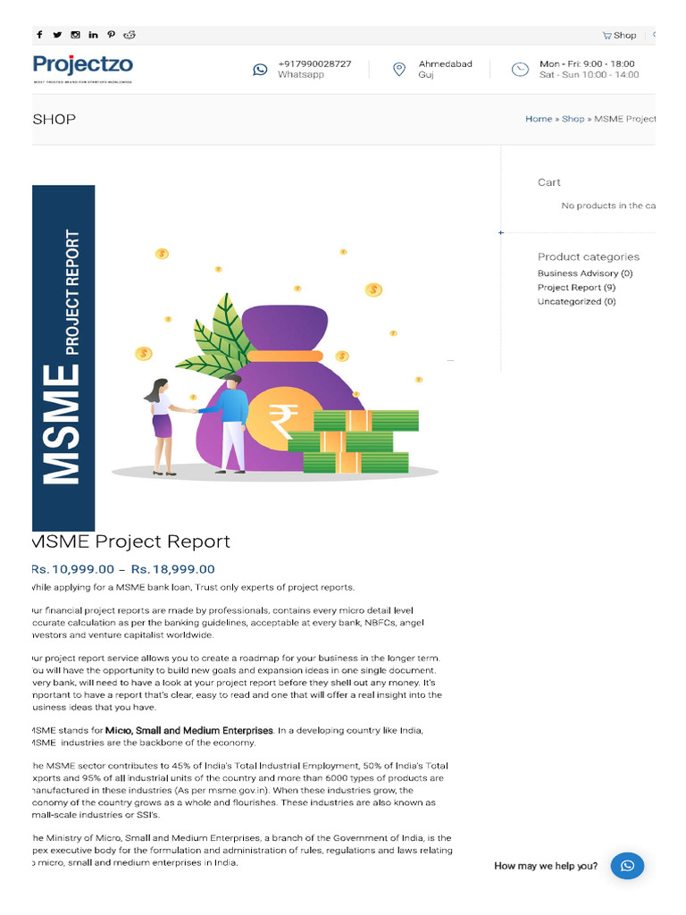 Msme Project Report | PDF
