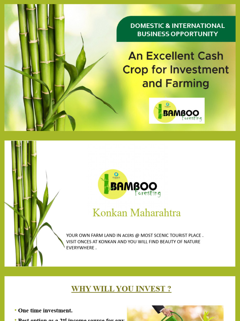 PG Bamboo | PDF | Bamboo | Economies