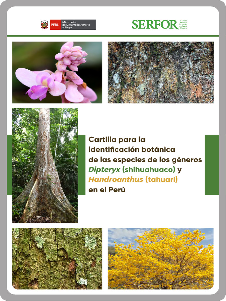 0015_Cartilla Para La Identificación Botánica de Las Especies de Los ...