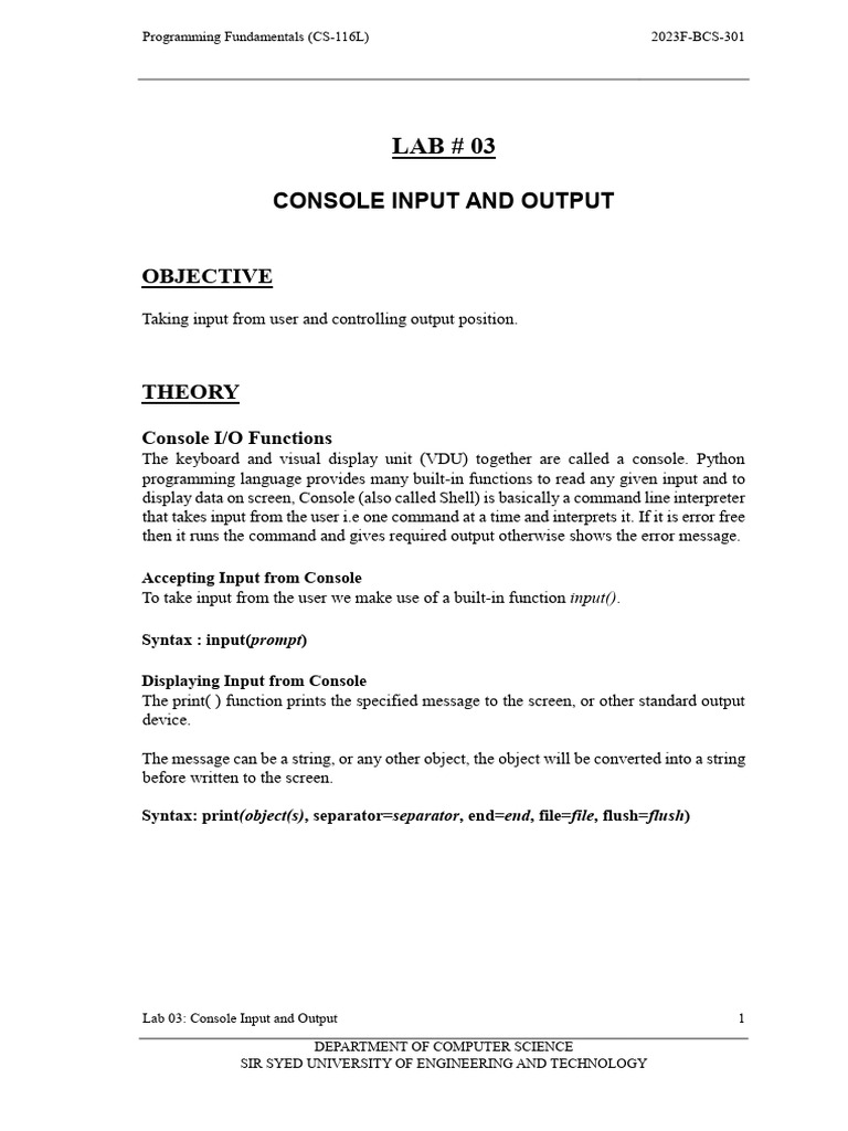 Rayyan Lab 03 | PDF | Command Line Interface | Input/Output