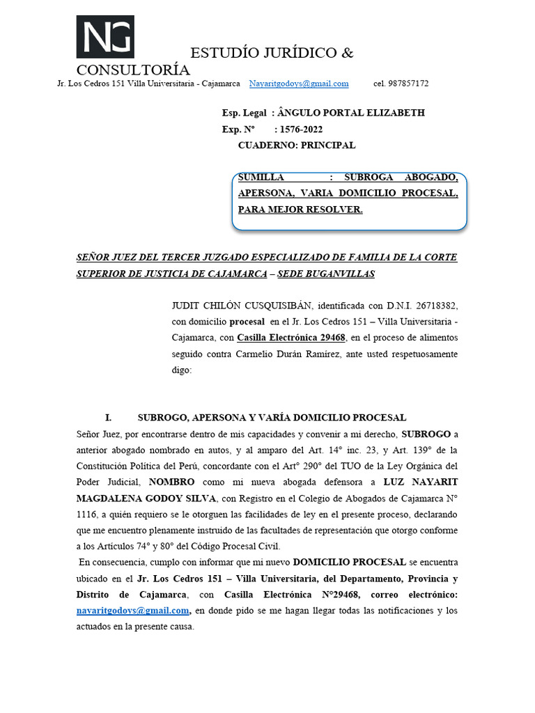 Apersona y para Mejor Resolver | PDF | Pensión alimenticia | Gobierno