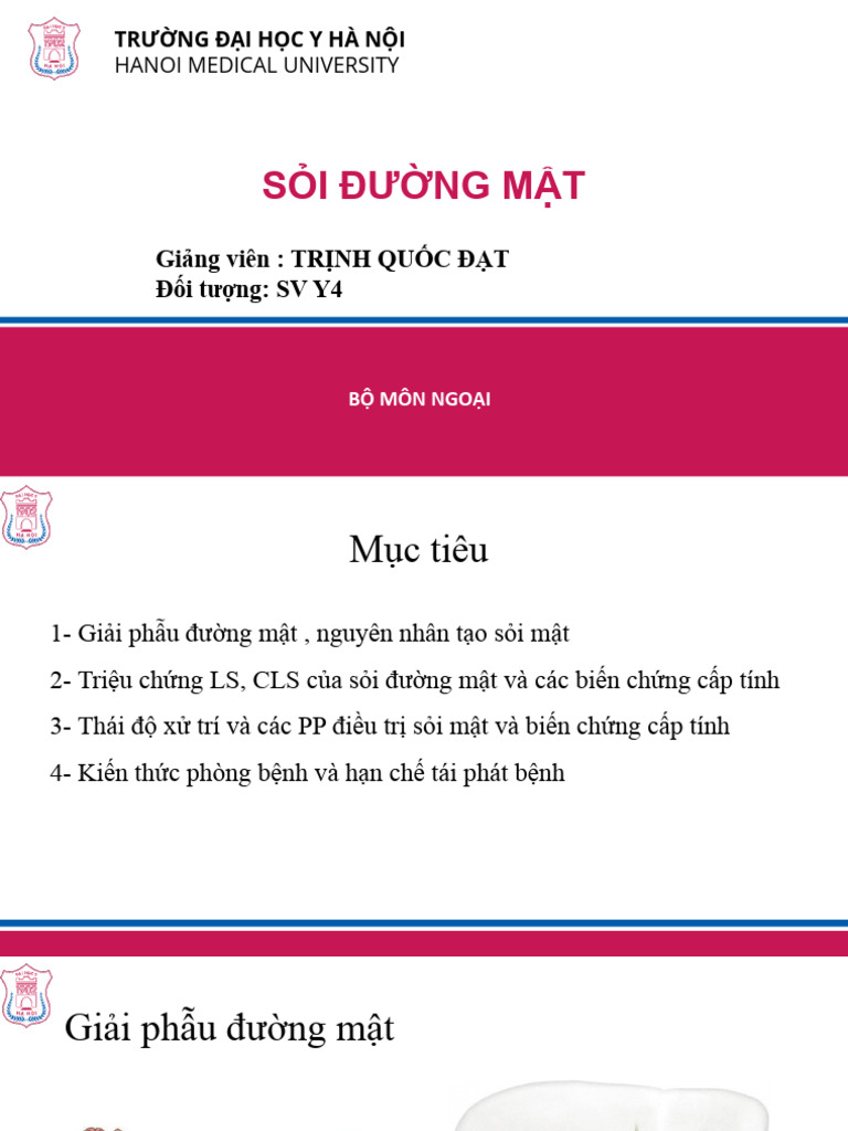 LEC 4.S3.3 SoÌ I Ä Uì Oì Ì NG Maì Ì T Chiì NH | PDF