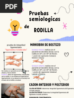 Pruebas de Bostezo en Rodilla | PDF | Rodilla | Medicina CLINICA