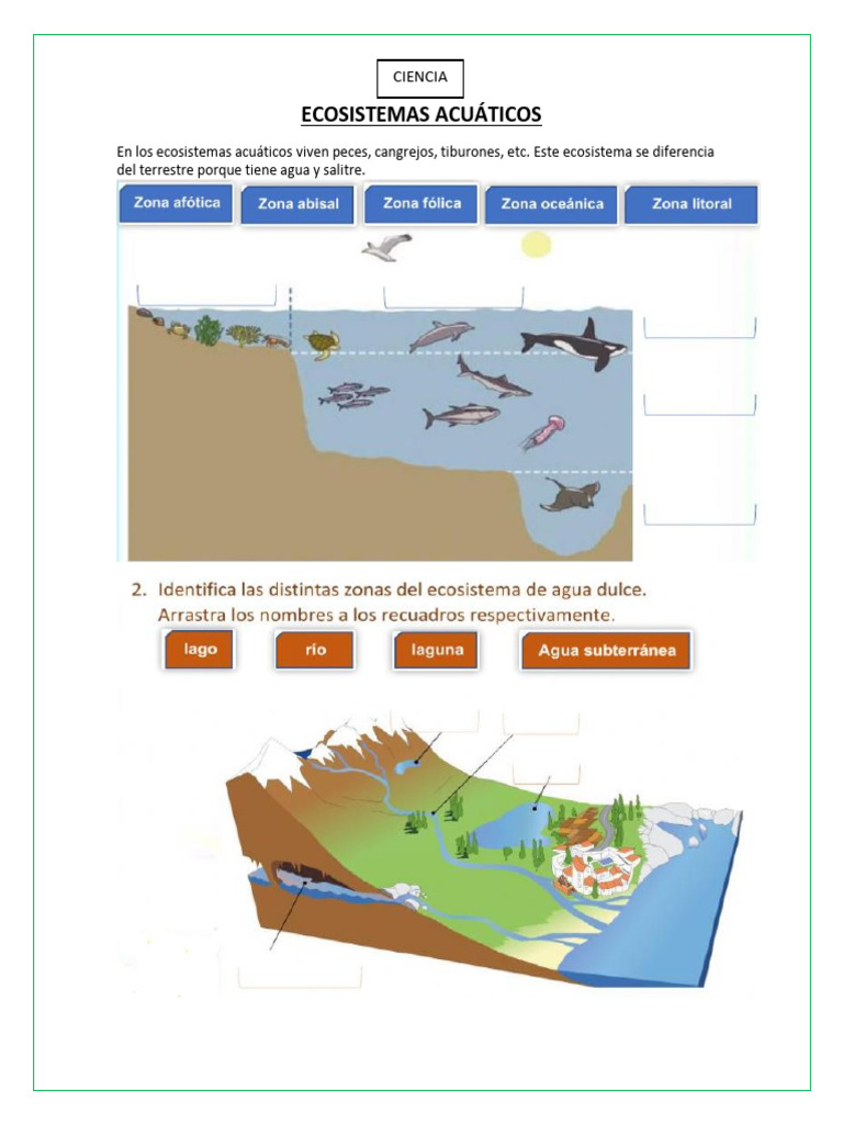 ECOSISTEMAS ACUÁTICOS | PDF