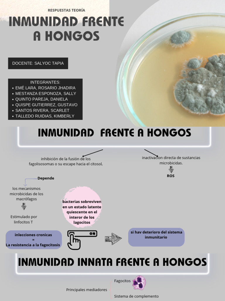 Inmunidad Frente A Hongos | PDF
