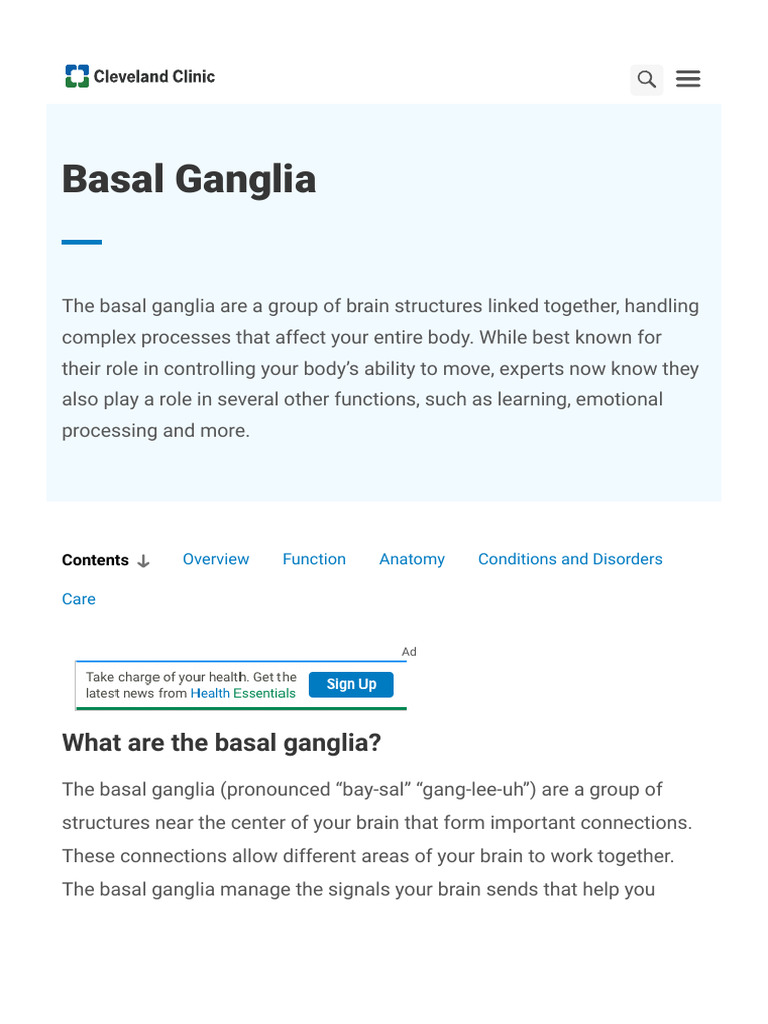 Basal Ganglia - What It Is, Function & Anatomy | PDF | Neuron | Nervous ...