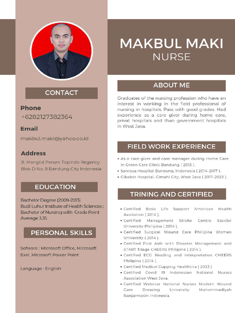 CV English | PDF