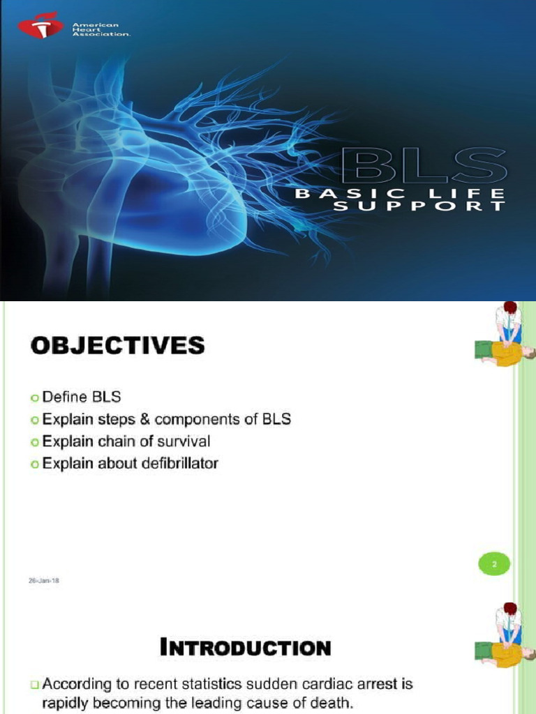 Bls | PDF