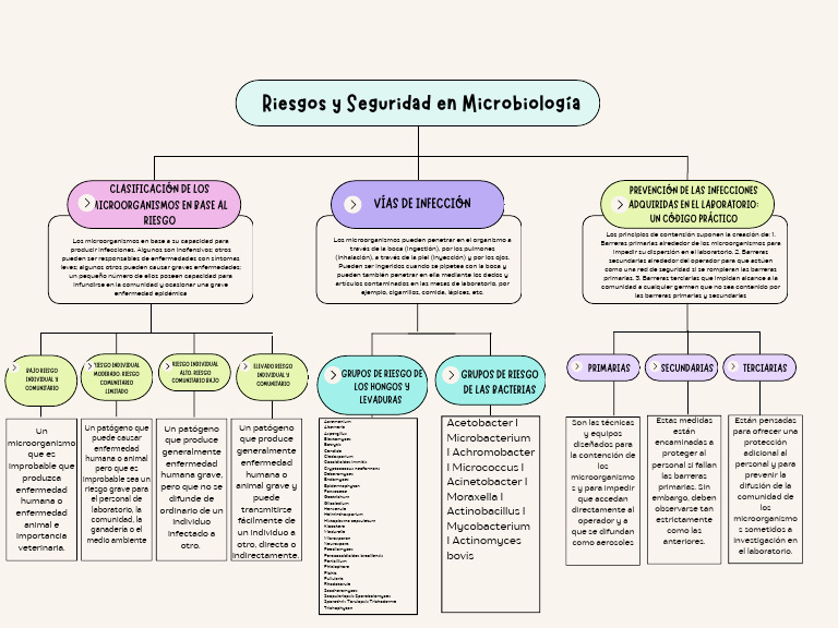 Mapa Conceptual de Riesgos | PDF