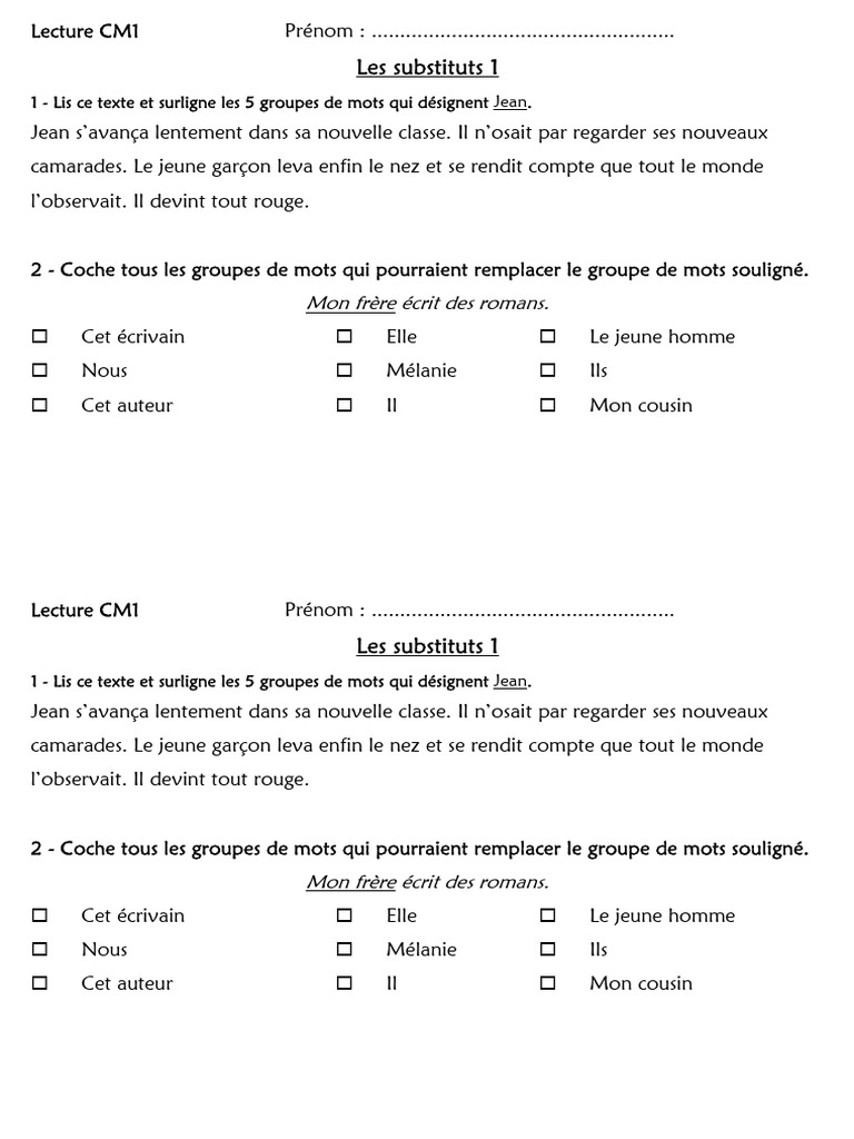 Exercices sur les substituts en CM1 | PDF