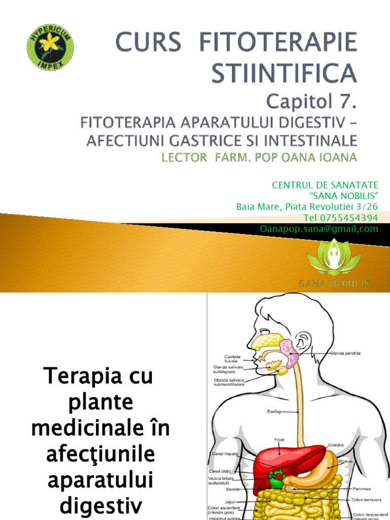 Capitol 7. FITOTERAPIA APARATULUI DIGESTIV - AFECTIUNI GASTRICE SI ...