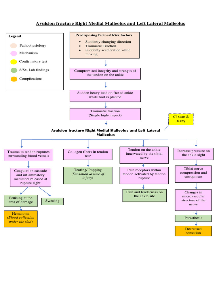 Pathophysiology Fracture Avulsion | PDF